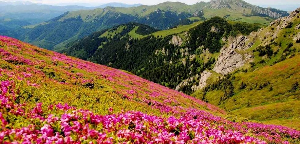 Destination Management Organization Cheia Măneciu - European Commission