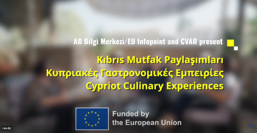 Aid Programme for the Turkish Cypriot community - European Commission