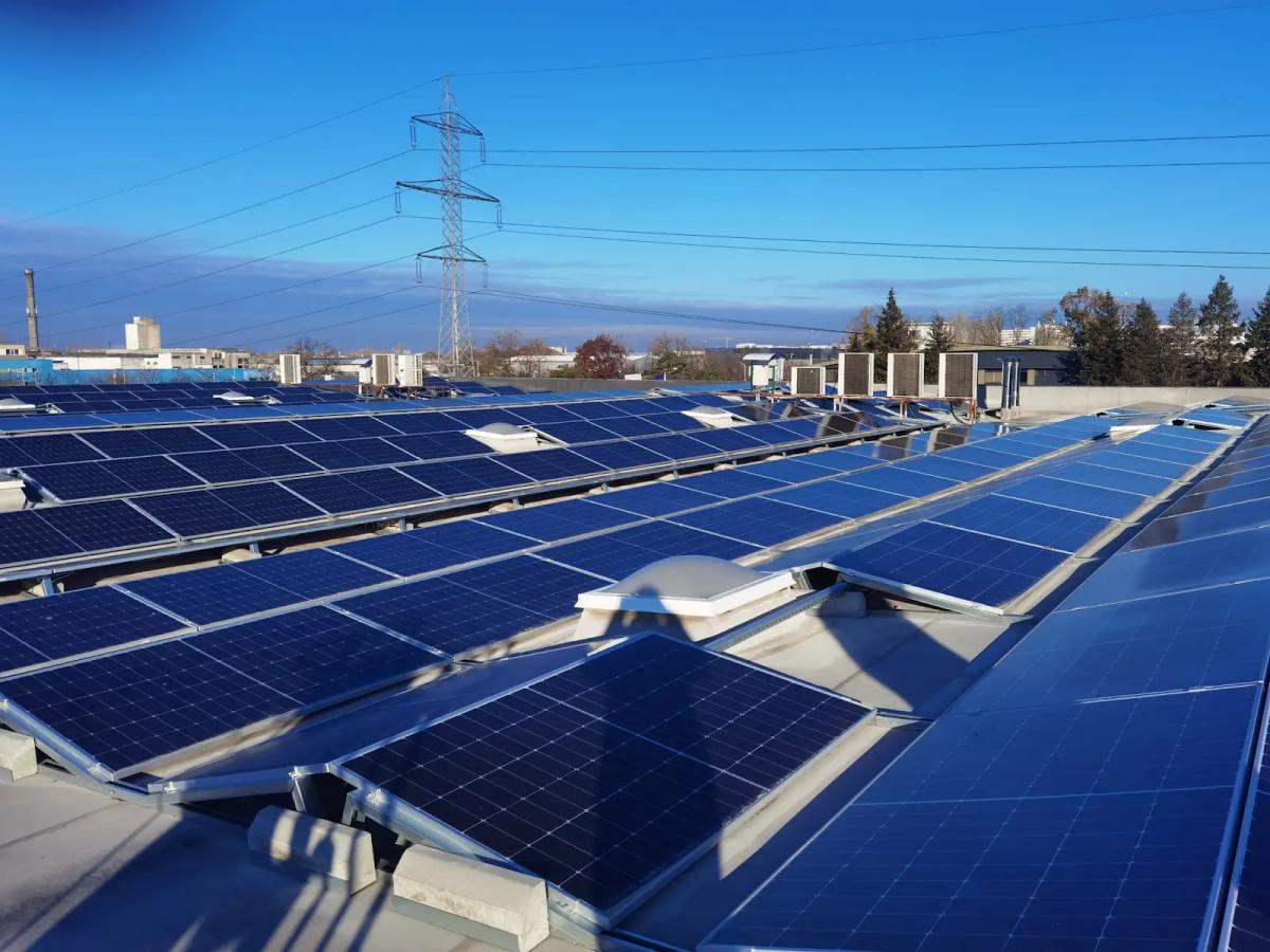 New capacities for electricity generation from renewable sources ...