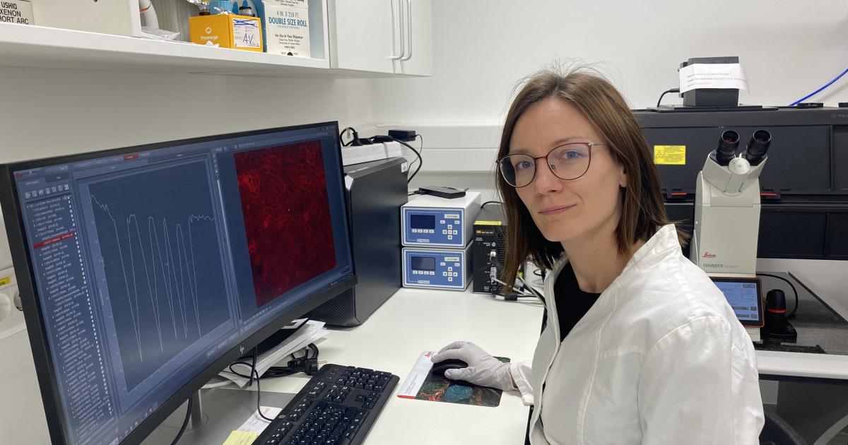 Controlling the susceptibility of biological cells to pulsed electric ...