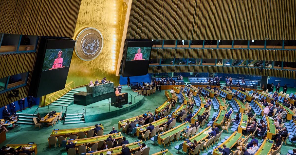 80th UN General Assembly: EU renews commitment to multilateralism ...