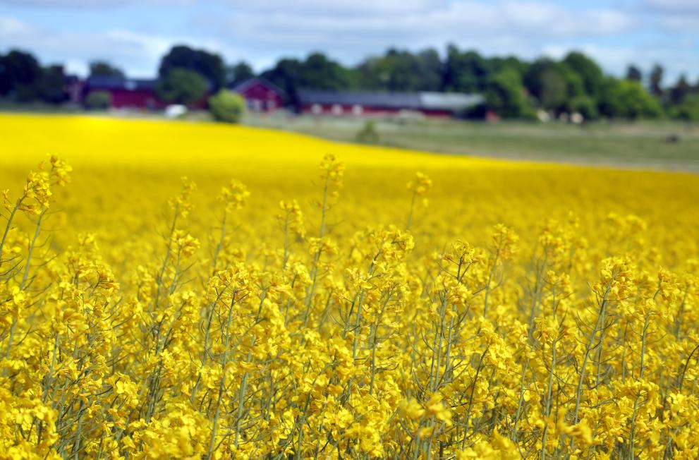 State aid: Commission approves one-year prolongation of tax exemption ...