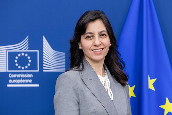 Ekaterina Zaharieva's Cabinet